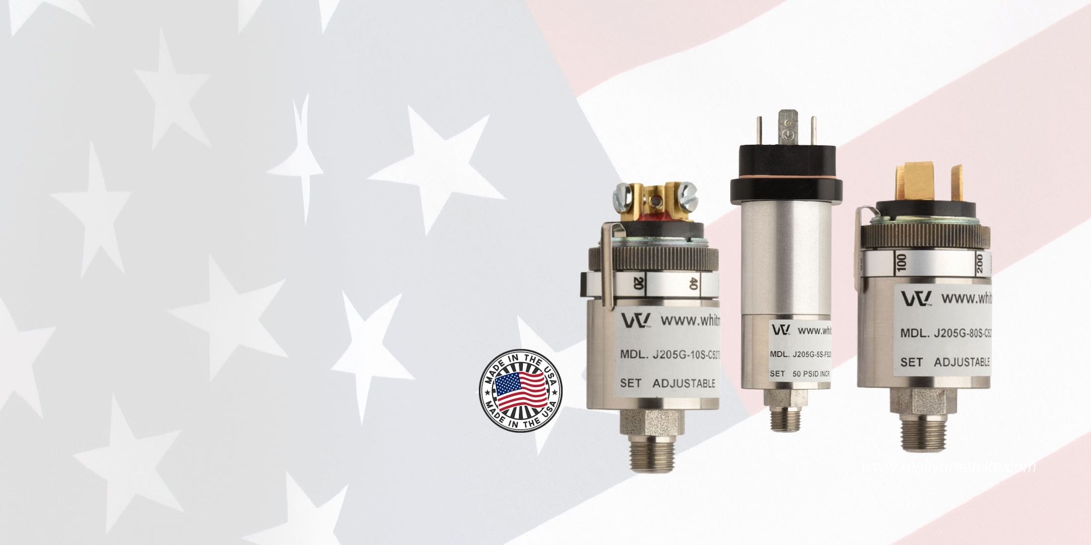 W117LG Ultra Pure Long Body NEMA 4 Pressure Switch Configurator ...